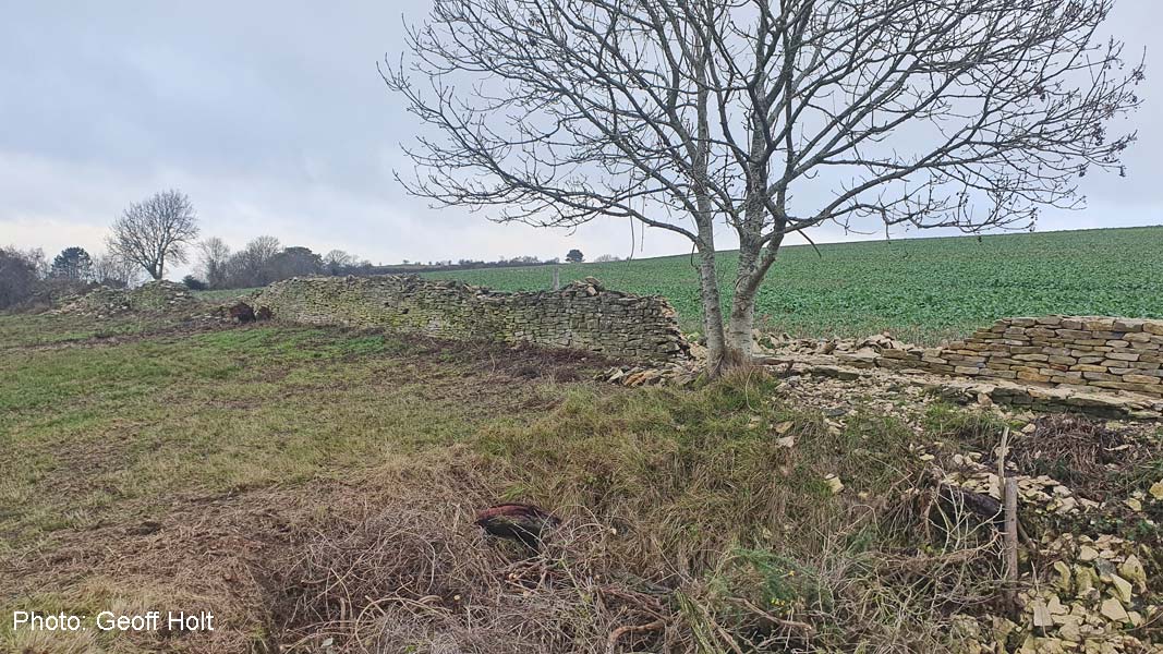 Cotswold Stone Walls