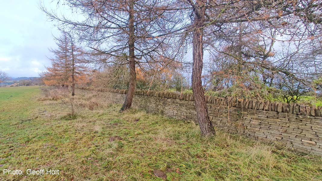 Cotswold Stone Walls