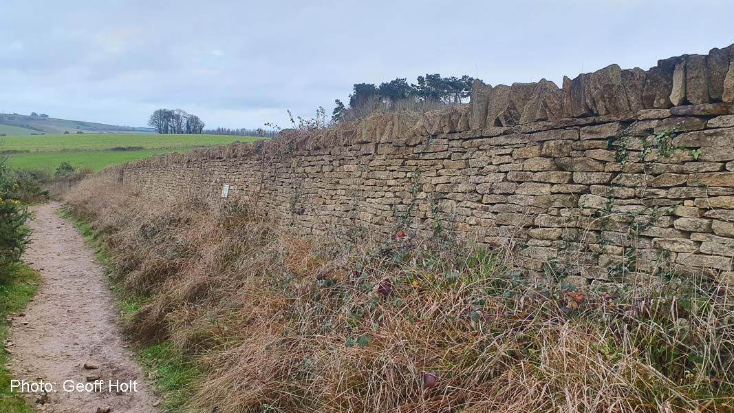 Cotswold Stone Walls