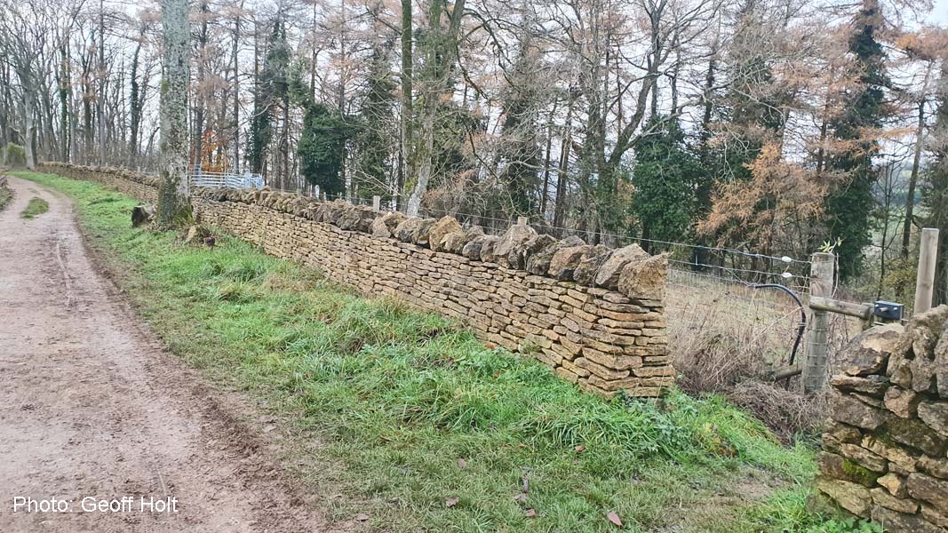 Cotswold Stone Walls