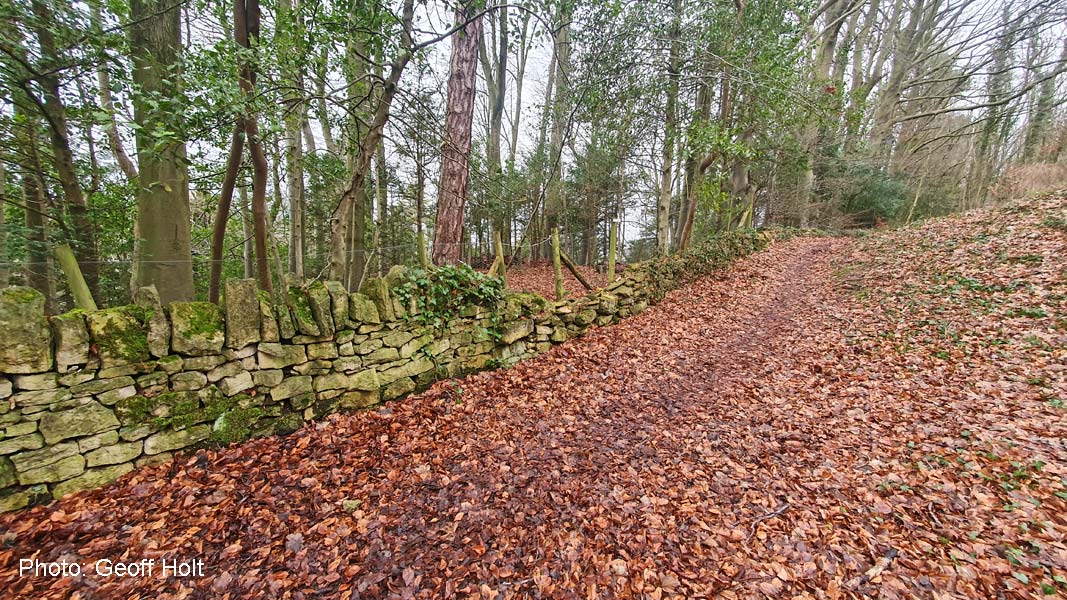 Cotswold Stone Walls