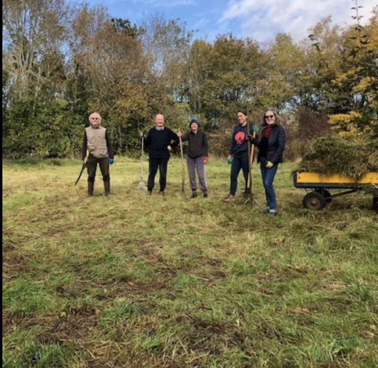 Thursday Morning Volunteer Conservation Work Party