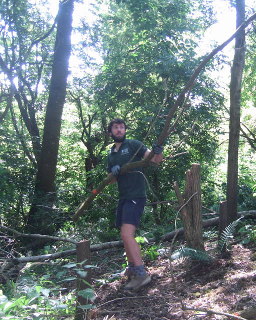 Work starts on new bridge and paths