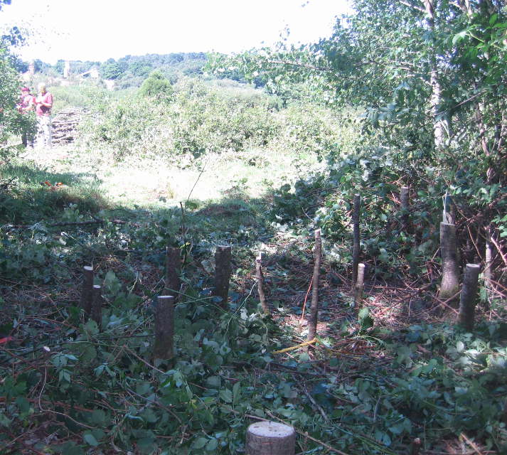 Work starts on new bridge and paths