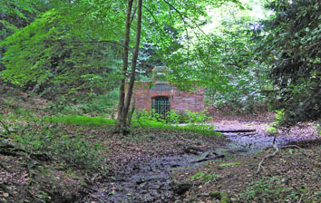Site: Spring Wood